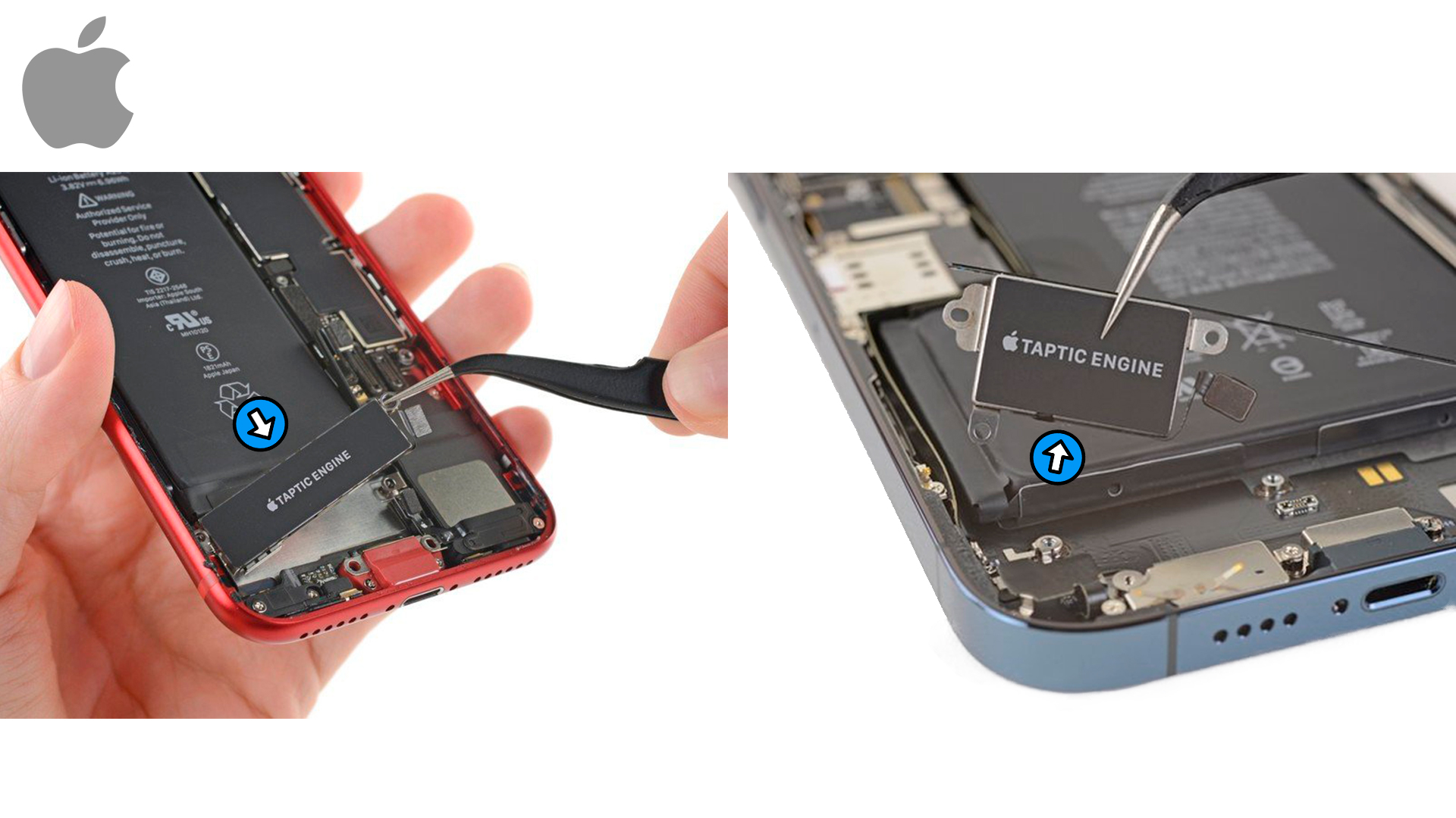 Mira todo lo que hay dentro del iPhone 13 - Ingreso Directo
